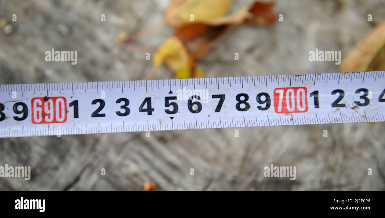 Tape measure isolated on white background Stock Photo - Alamy