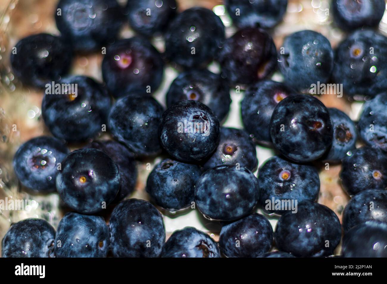 Close up shots of a blueberries Stock Photo - Alamy