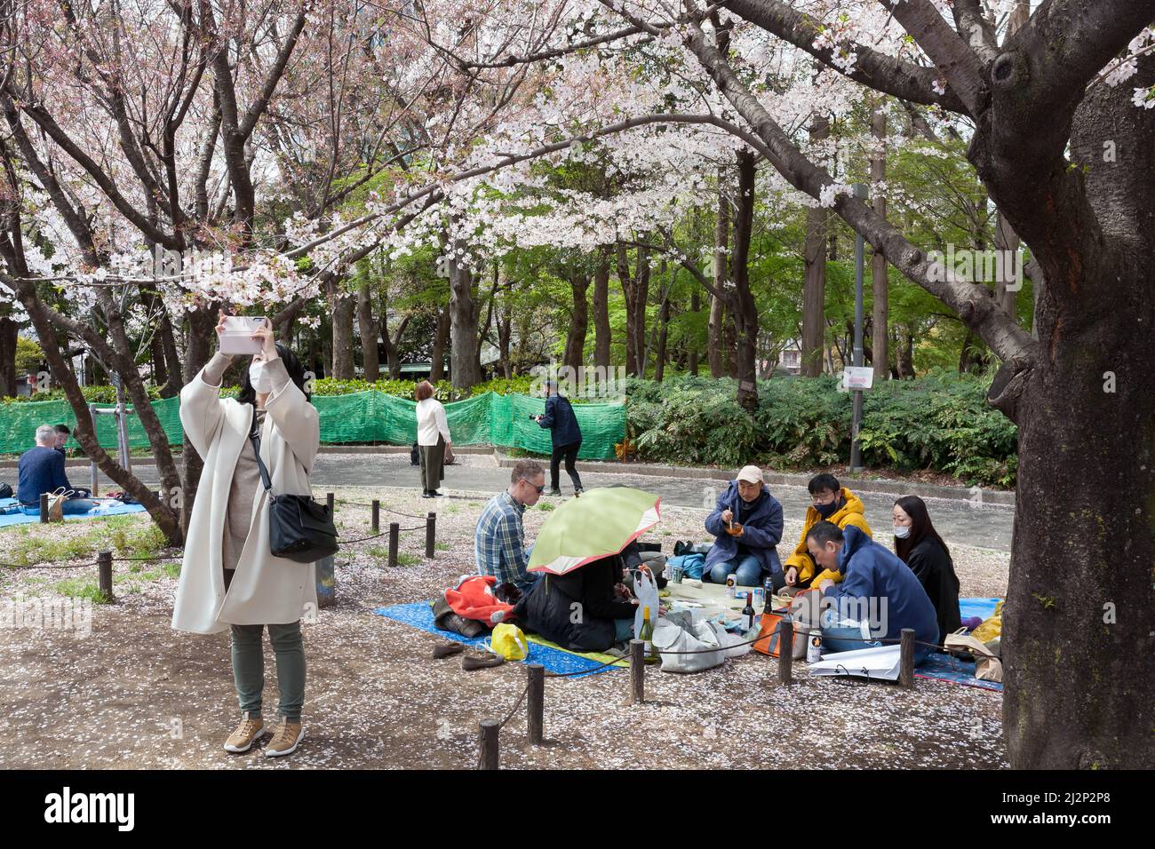 Hinjuku chuo park hi-res stock photography and images - Alamy