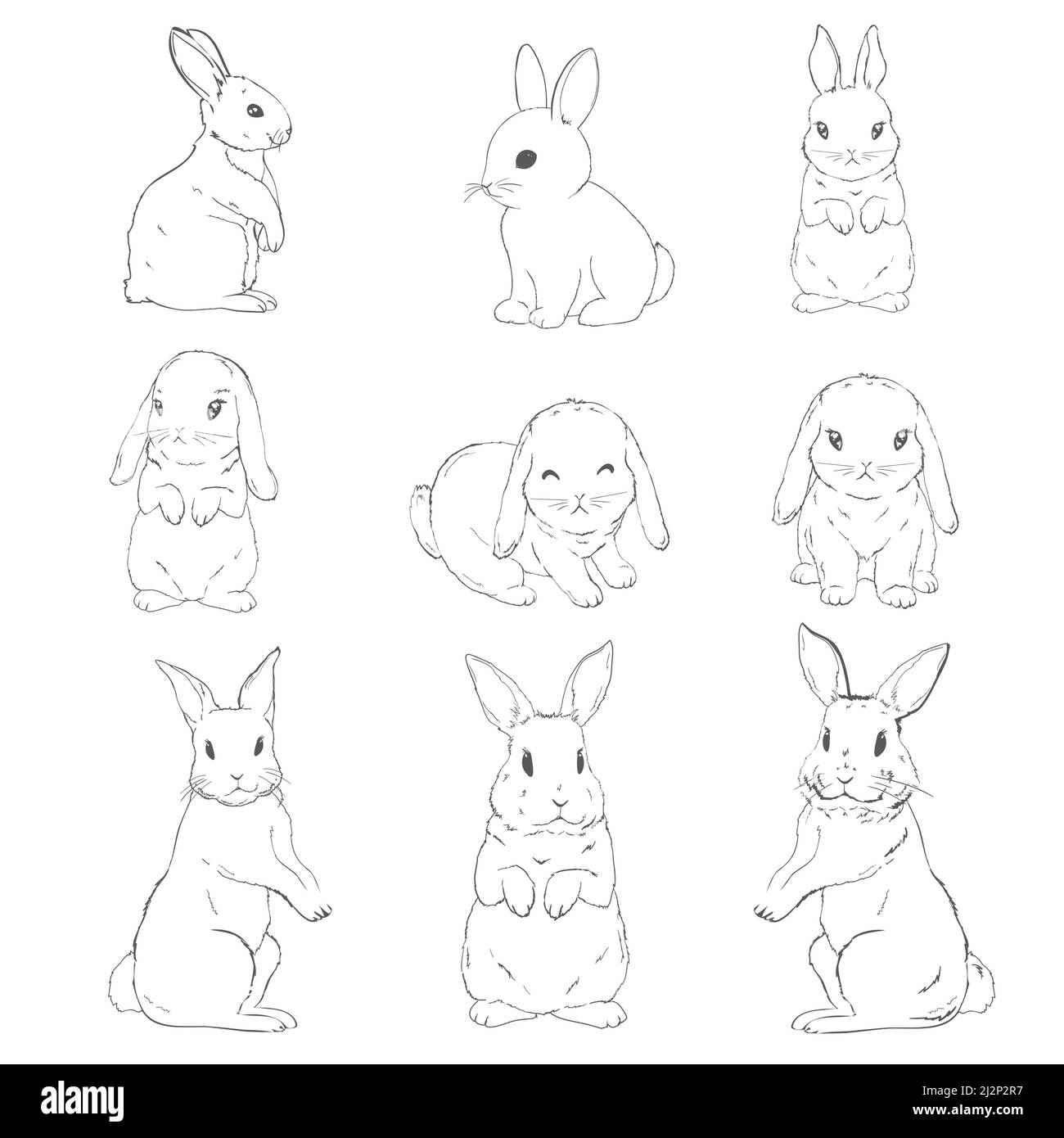 Set sketch of a cute rabbit black and white, hand-drawn on a white ...