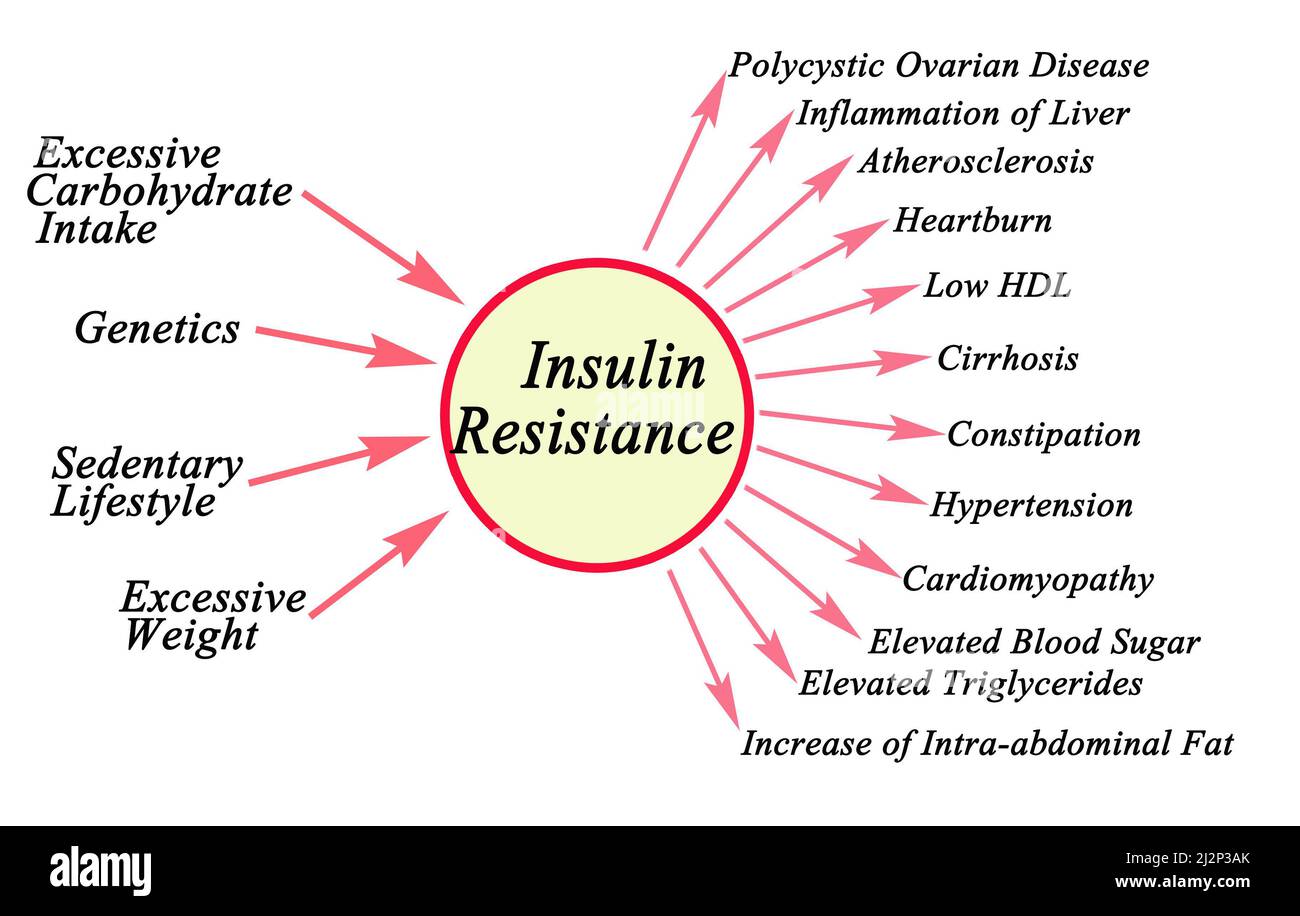 Which Hormones Cause Insulin Resistance at Jon Lefebre blog