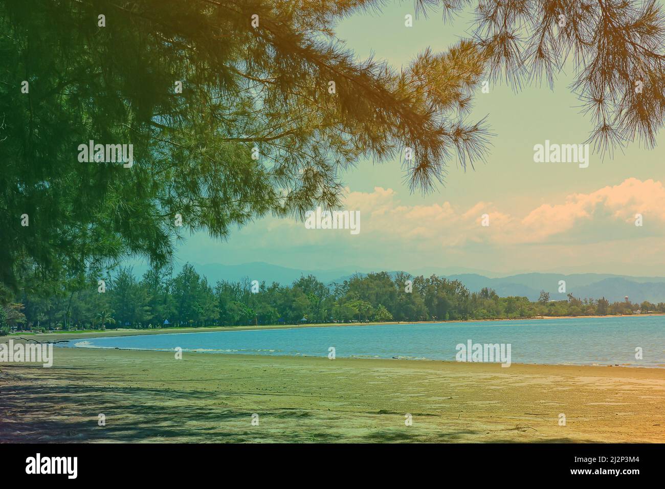 Trees against blue sky at Tanjung Aru Beach, Kota Kinabalu, Sabah ...