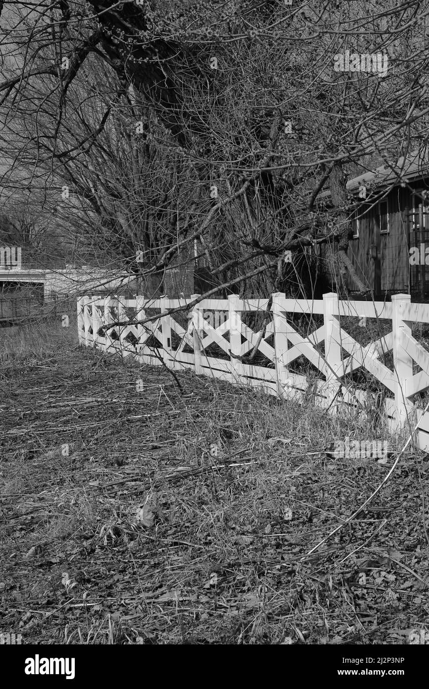 Bright and cheerful scene Black and White Stock Photos & Images - Alamy