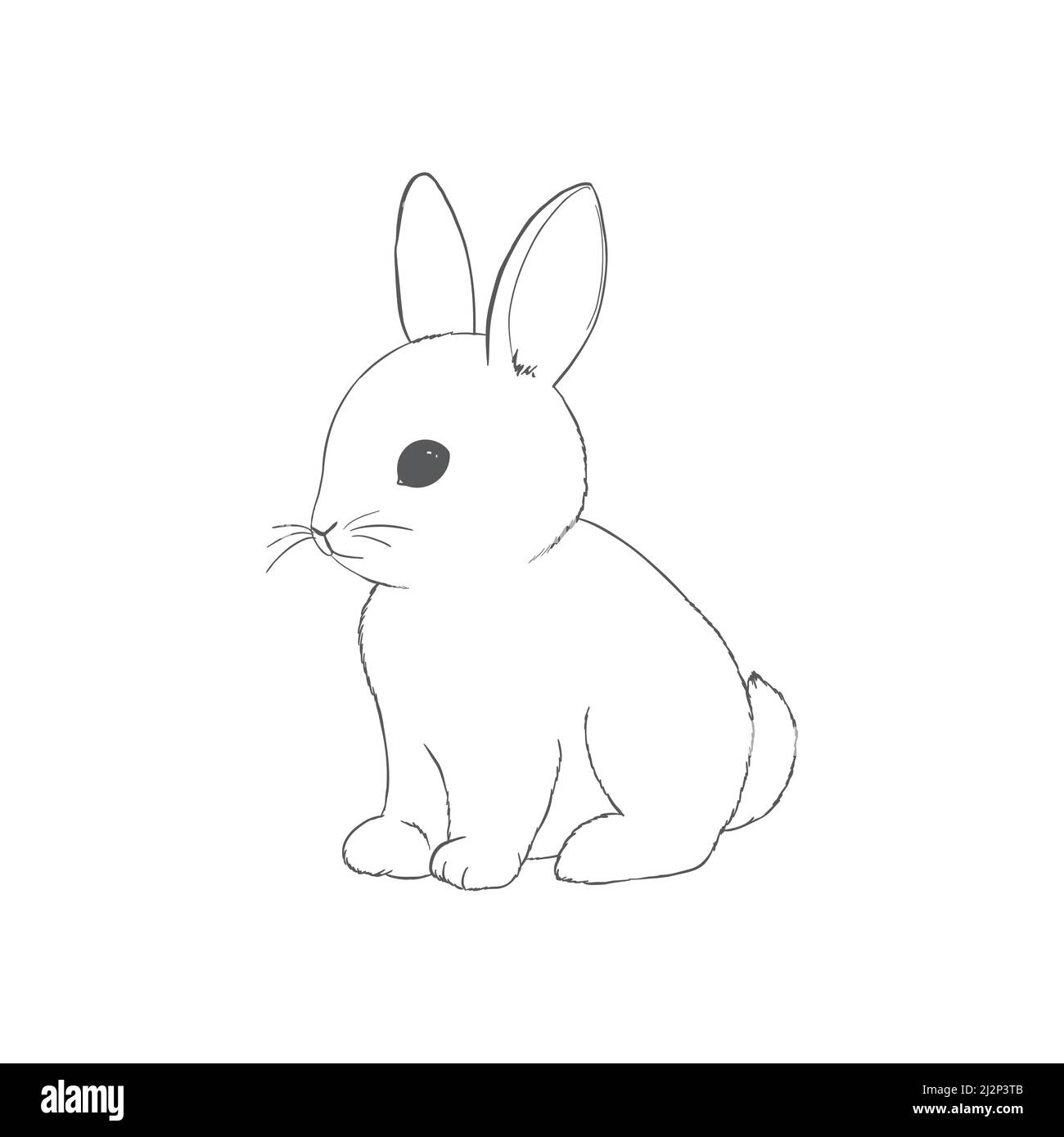 sketch of a cute rabbit black and white, hand-drawn on a white ...