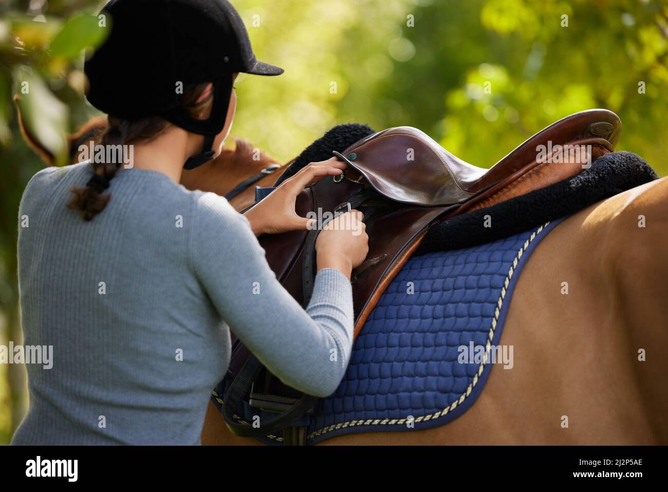 Horse in nature hi-res stock photography and images - Alamy