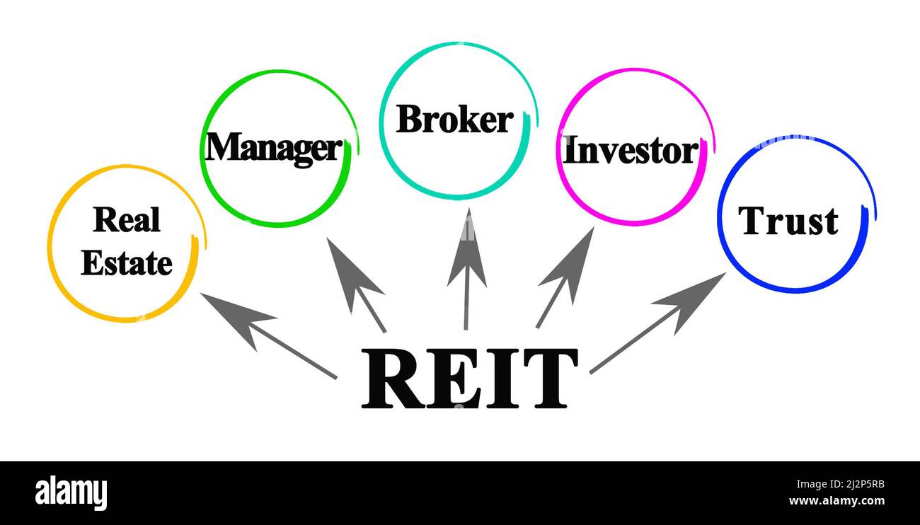 What Is Act In Real Estate at Aiden Ligar blog