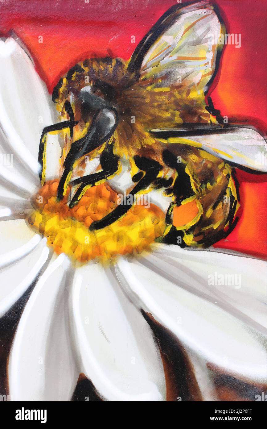 Bumblebee Feeding On Flower Art Stock Photo - Alamy