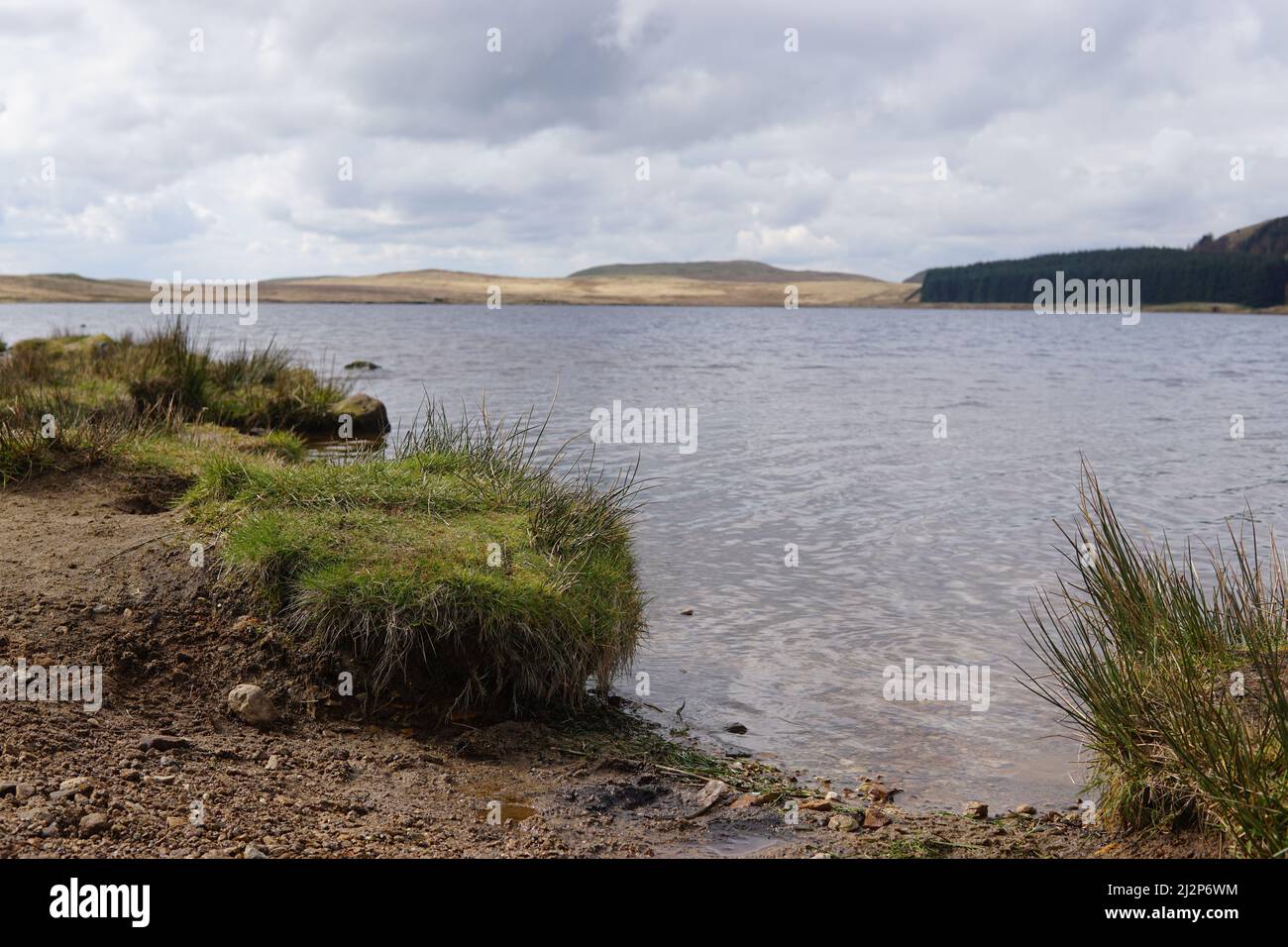 Scottish trout loch hi-res stock photography and images - Alamy