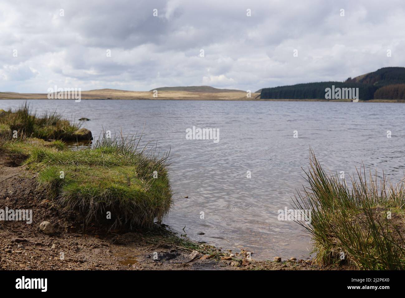 Scottish trout loch hi-res stock photography and images - Alamy