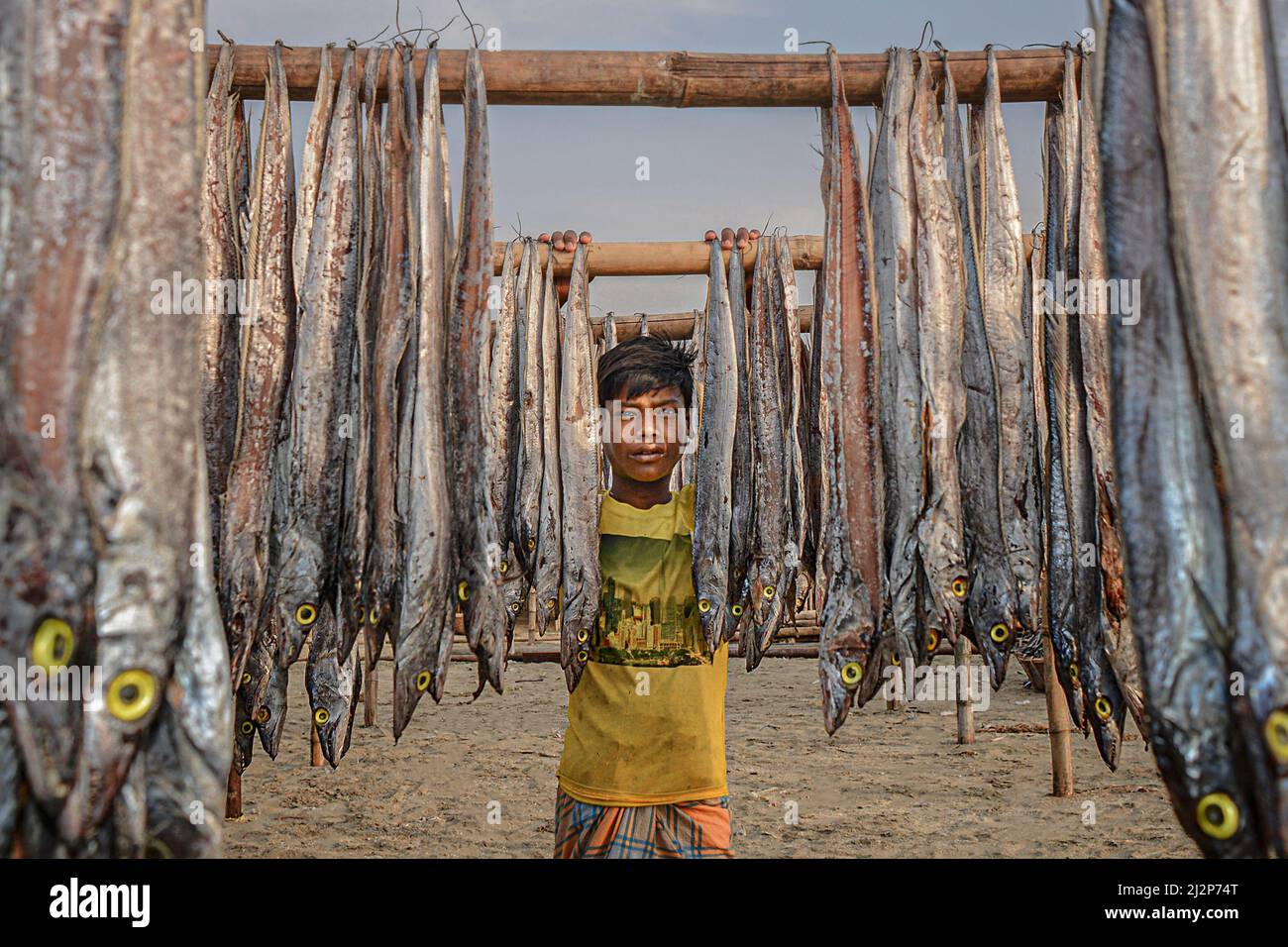 Bangladeshi fish hi-res stock photography and images - Alamy