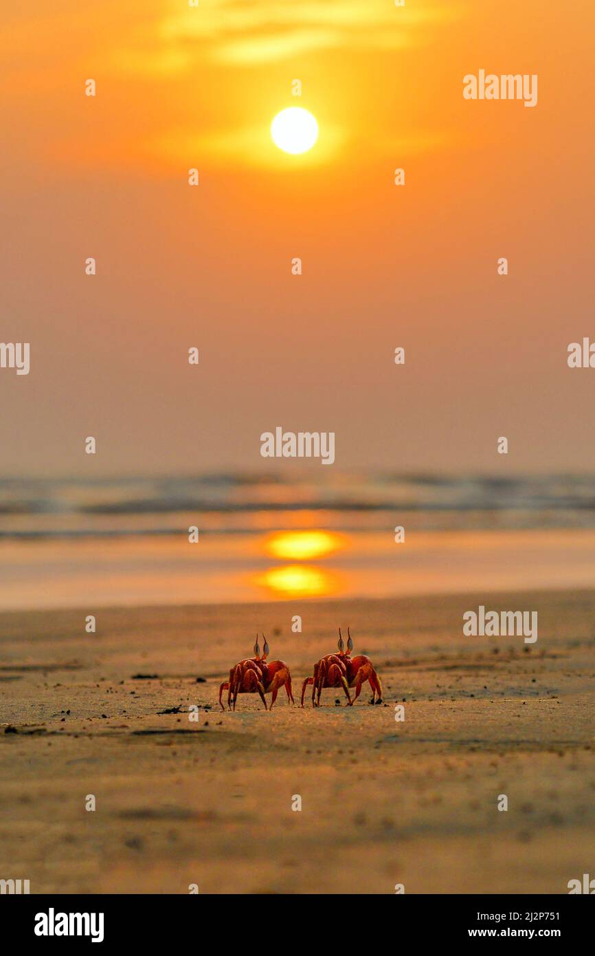 Beautiful natural image hi-res stock photography and images - Alamy