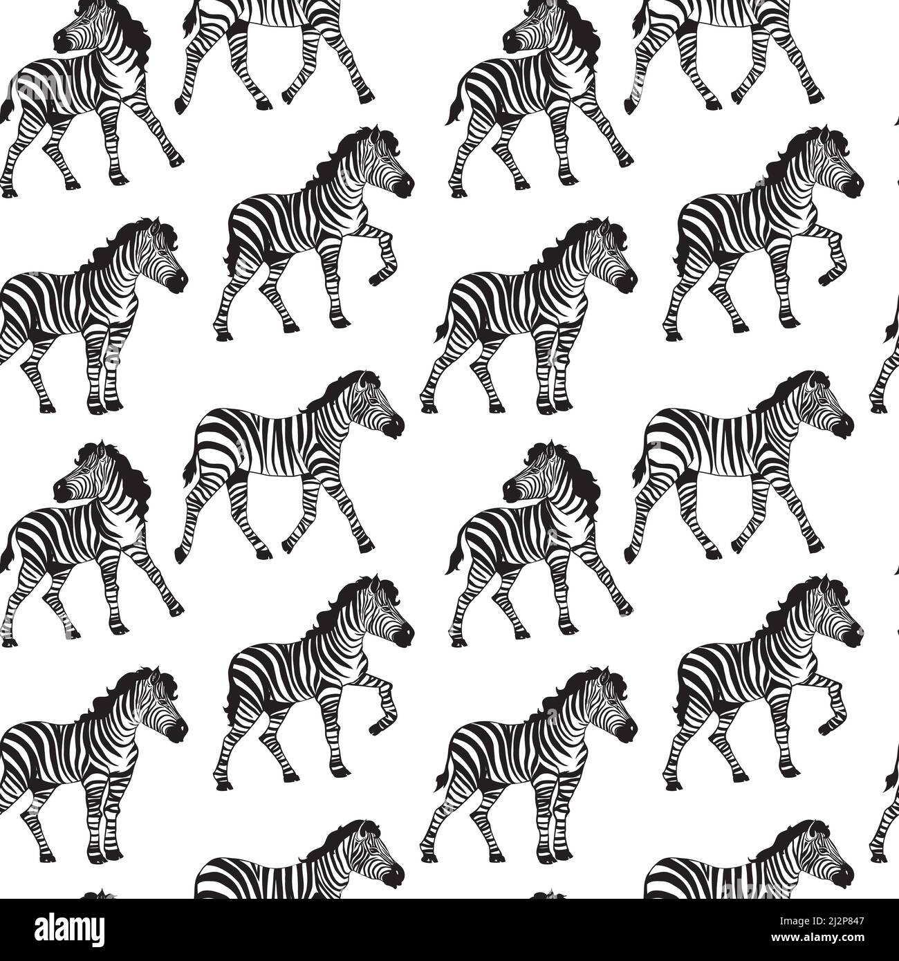 South african zebra seamless pattern. Hand drawn seamless pattern ...