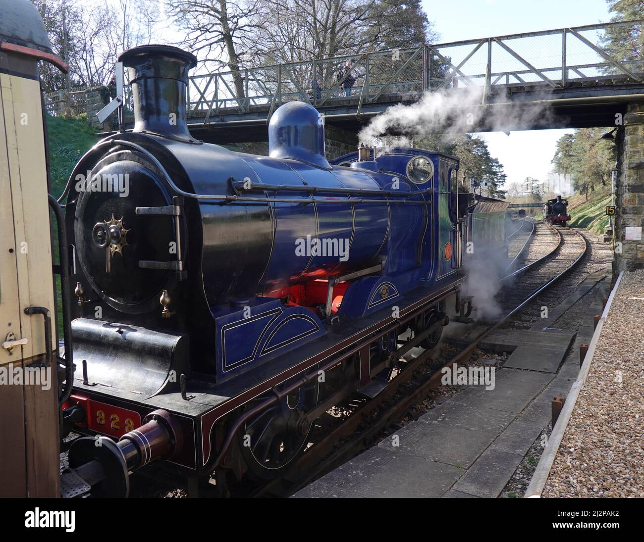 Caledonian Locomotive 828 at Groombridge Station Stock Photo - Alamy