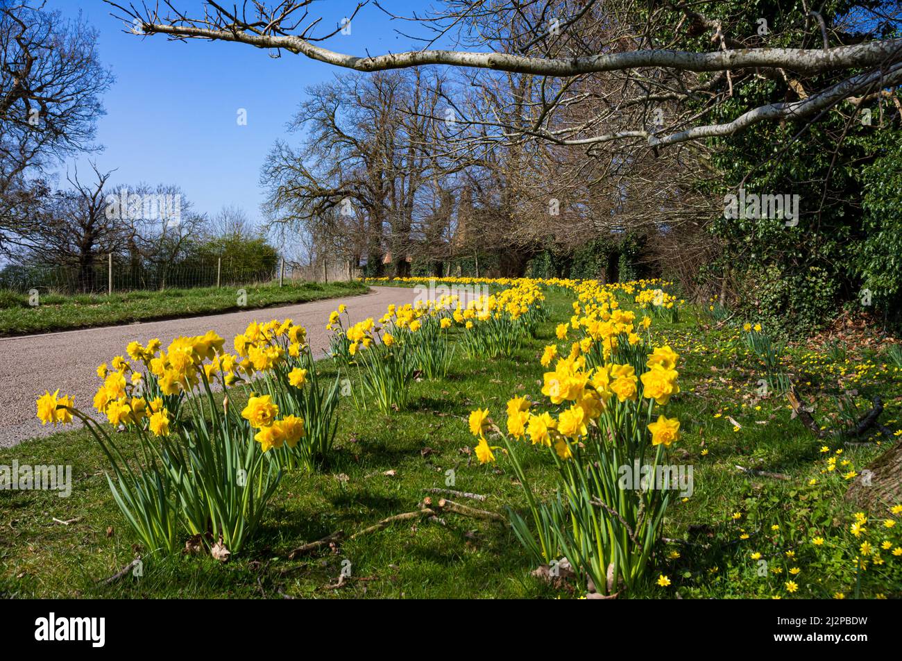 Spring to Life Stock Photo - Alamy