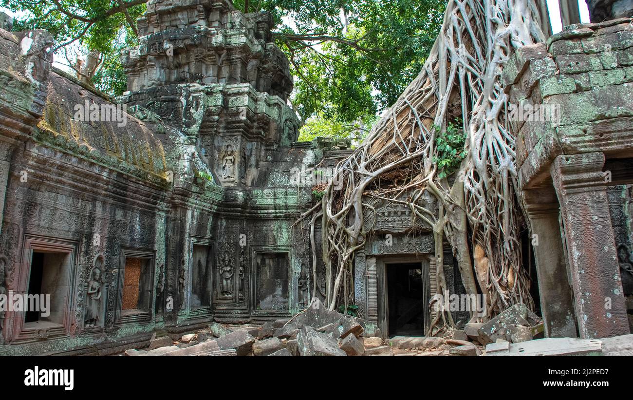 Siem riep cambodia hi-res stock photography and images - Alamy
