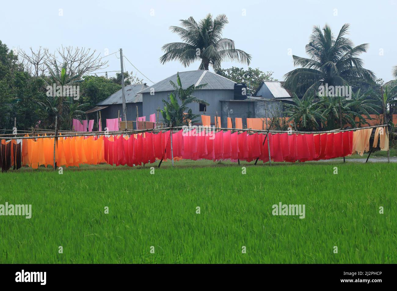 Freshly dyed fabric seen in the sunshine at the dye factory in ...