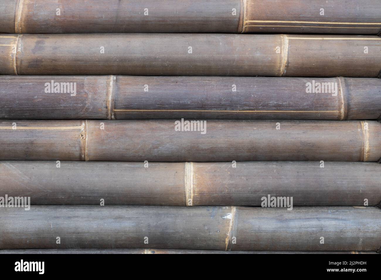 Old bamboo background with texture for banner, thick bamboo Stock Photo ...