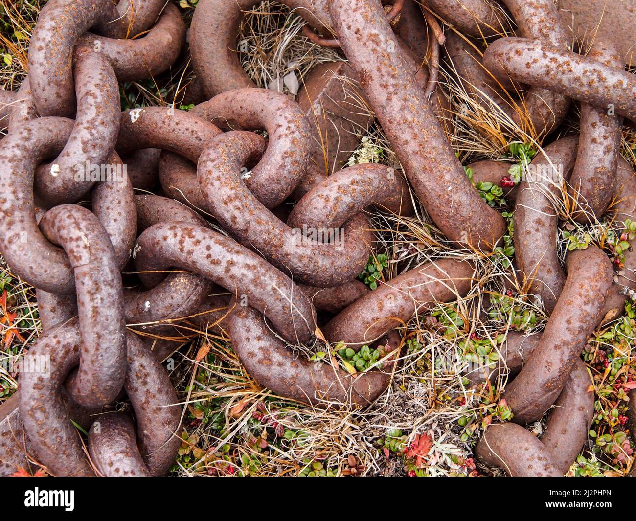 Rusty old chain laying in the tundra near the northern Alaska village ...