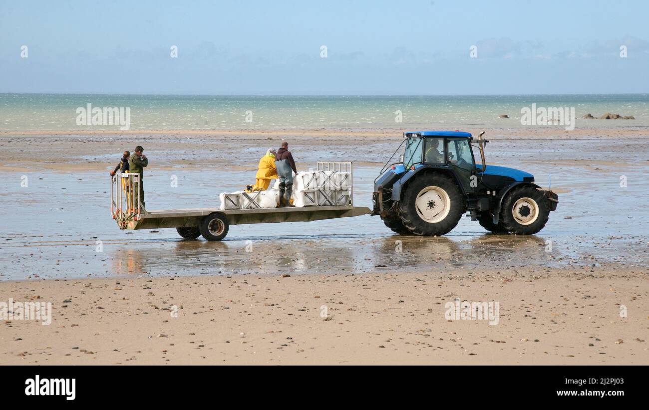 Tidal sea tractor hi-res stock photography and images - Alamy