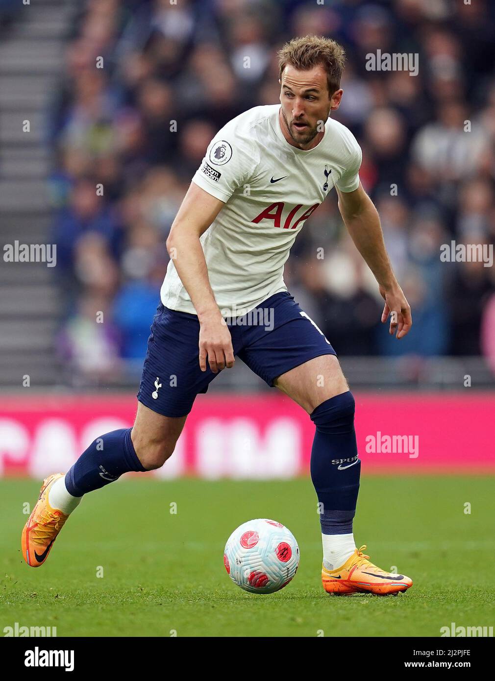 Kane 2022