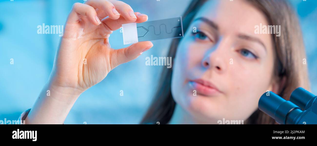 Blood sample on microscope slide. Researcher Analyzing Microscope Slide ...