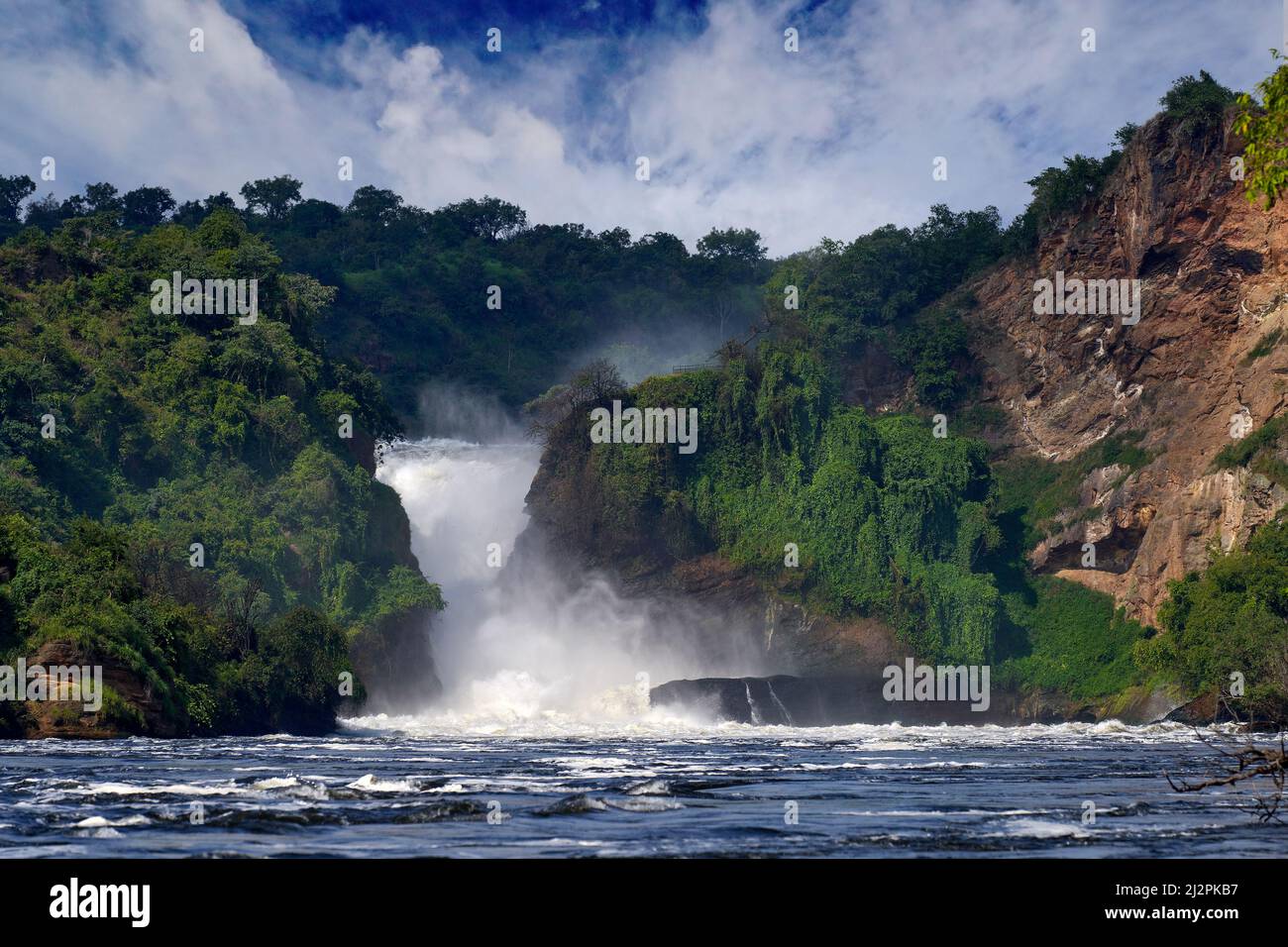 Blue nile river africa animal hi-res stock photography and images - Alamy