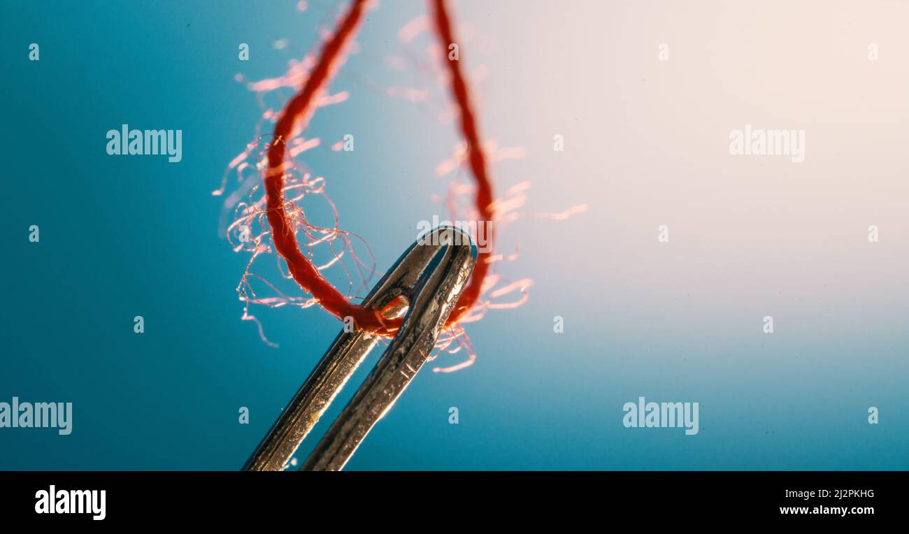 Eye of a needle hi-res stock photography and images - Alamy