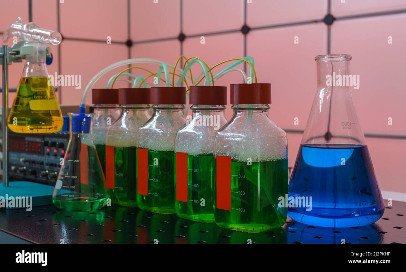 Experiments with obtaining electricity and bacteria processing ...