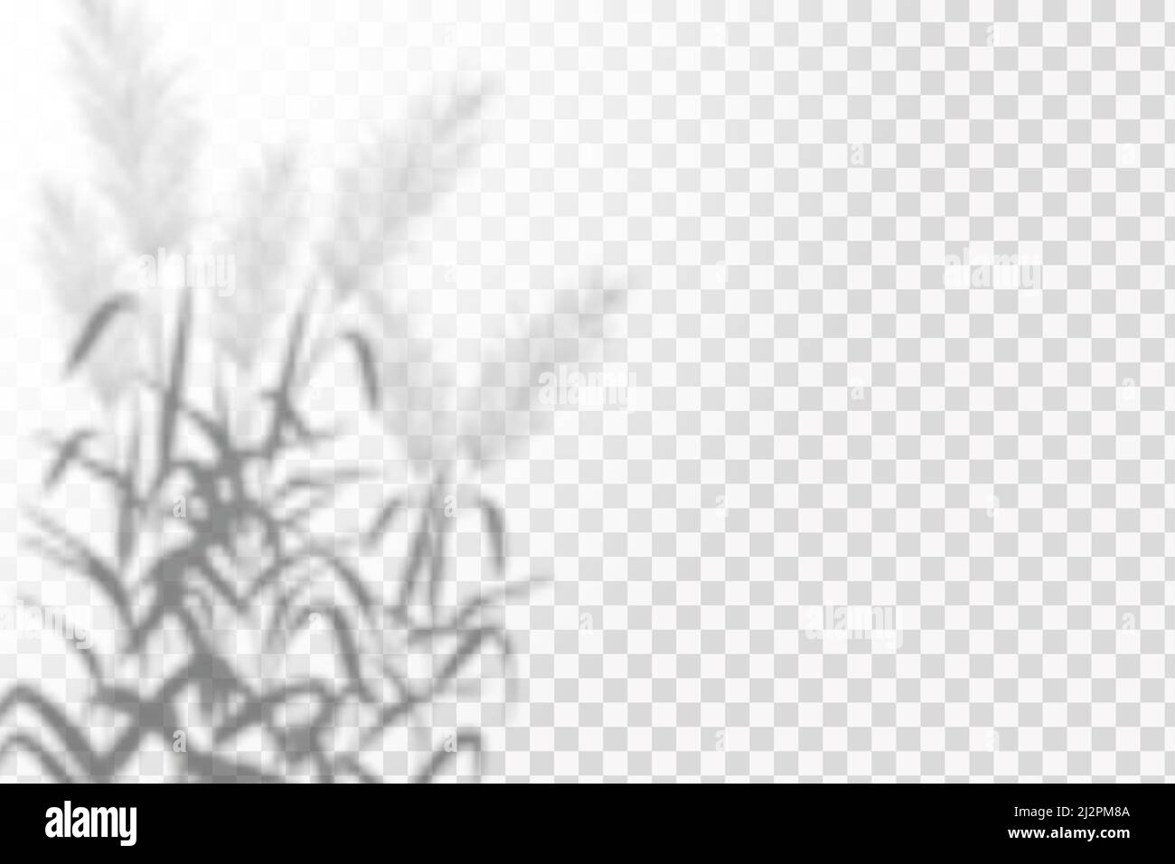 Transparent Effects Layouts My New 5th [paid Extension] Reveal Effect