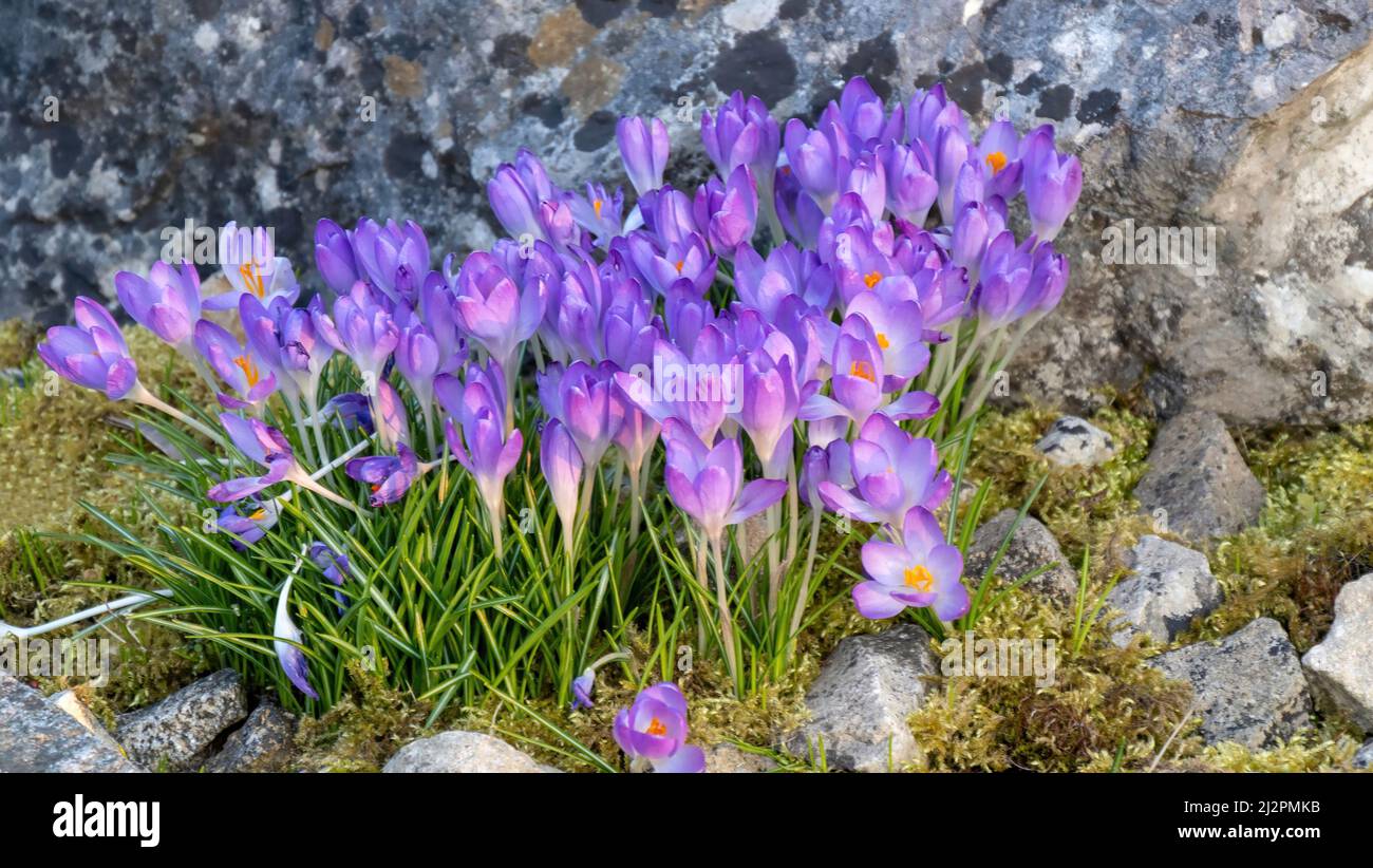 Glory stones hi-res stock photography and images - Alamy