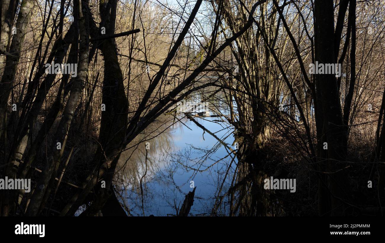 External trunk hi-res stock photography and images - Alamy