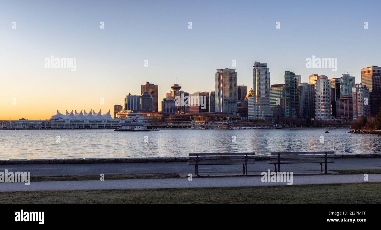 Panoramic View of Modern City Building Skyline on West Coast Pacific ...