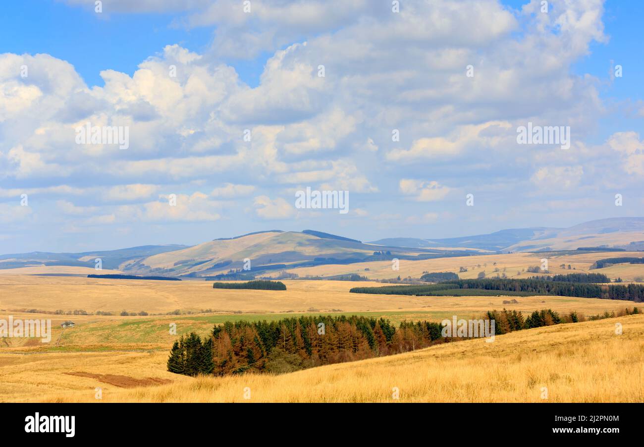 Spring time landscape over the Southern Uplands in the direction of ...