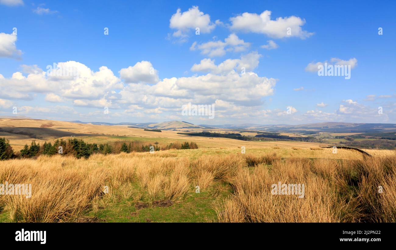 Spring time landscape over the Southern Uplands in the direction of ...