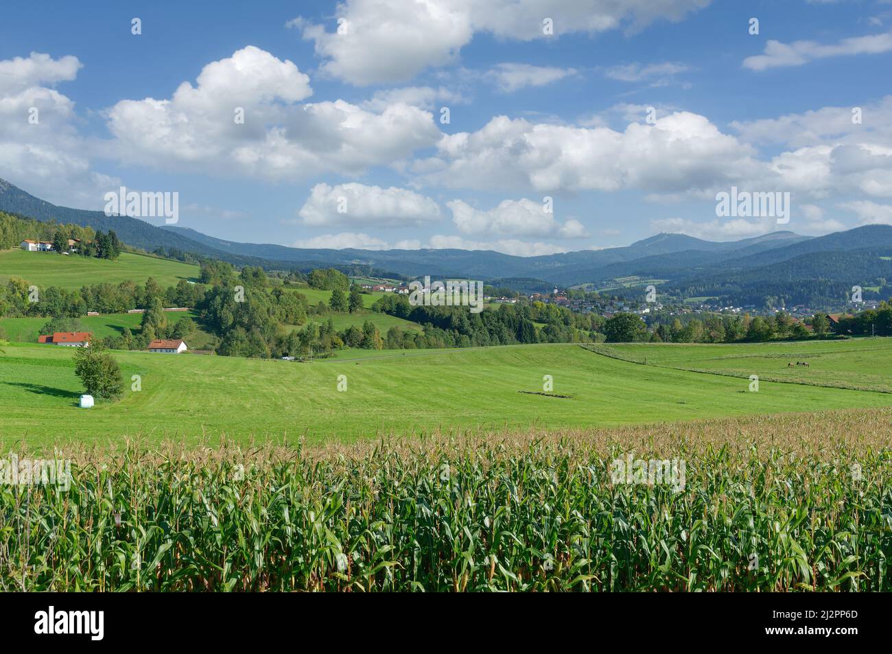 view to Village of Lam,Bavarian Forest,Bavaria,Germany Stock Photo - Alamy