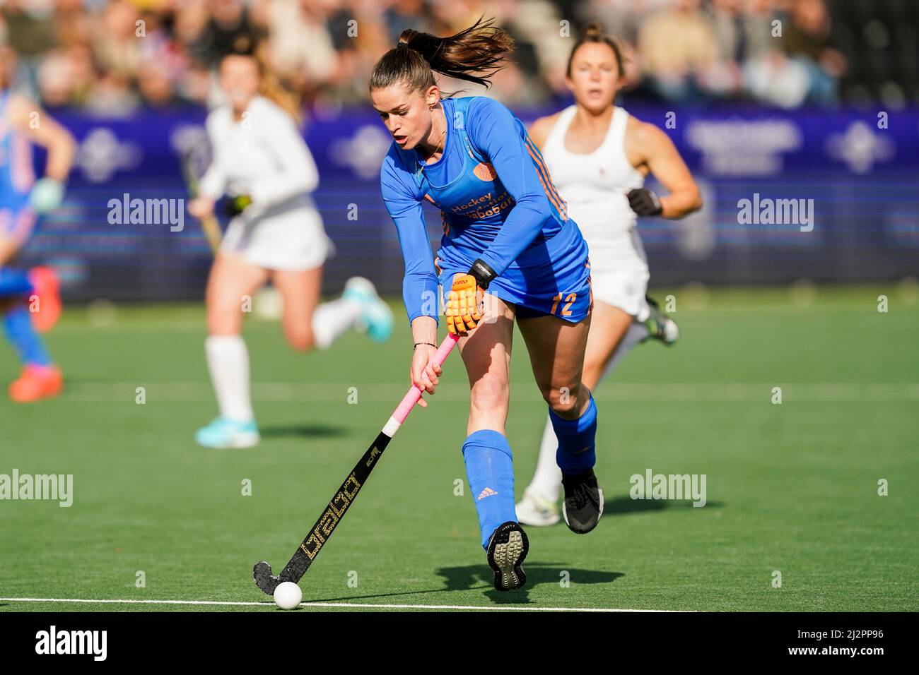 Wagener hockey stadium hi-res stock photography and images - Alamy
