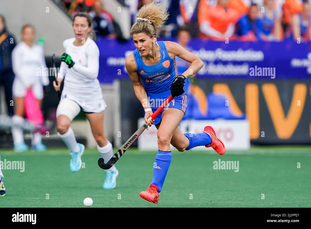 Wagener hockey stadium hi-res stock photography and images - Alamy