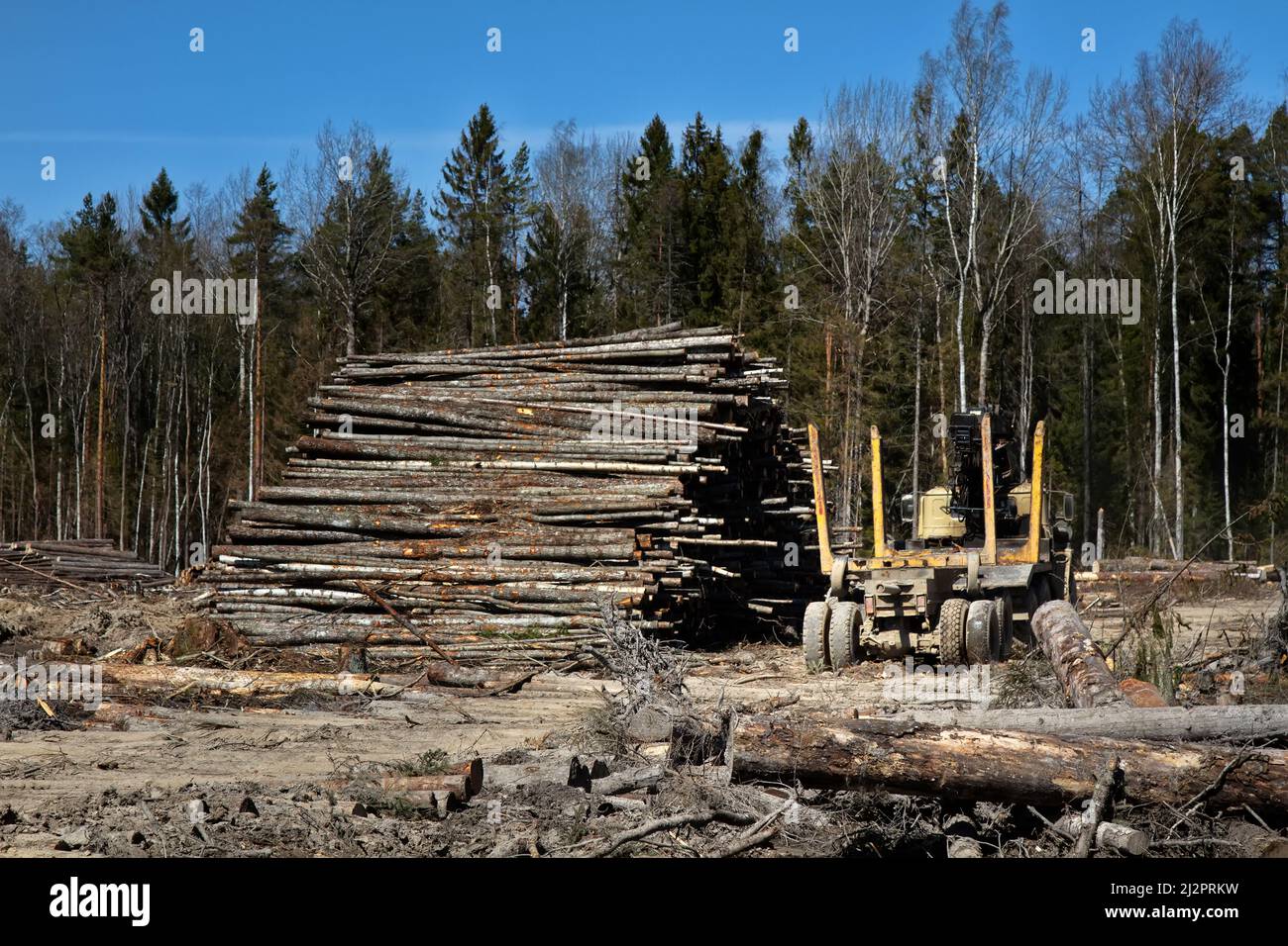 Forest industry. Operations for loading-unloading logging truck at ...
