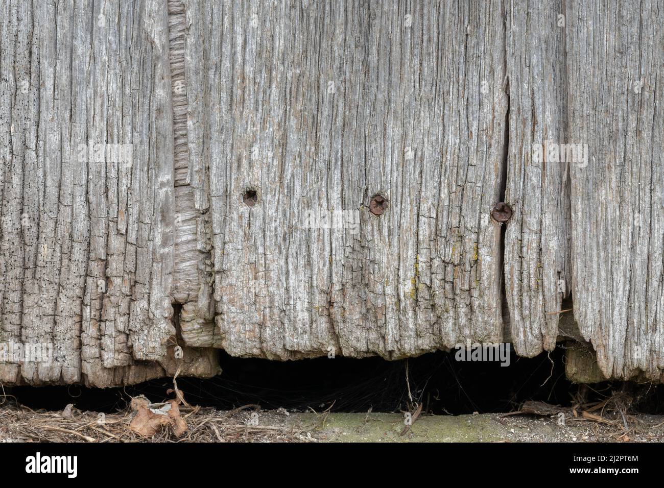 Old cemetery wooden door hi-res stock photography and images - Alamy