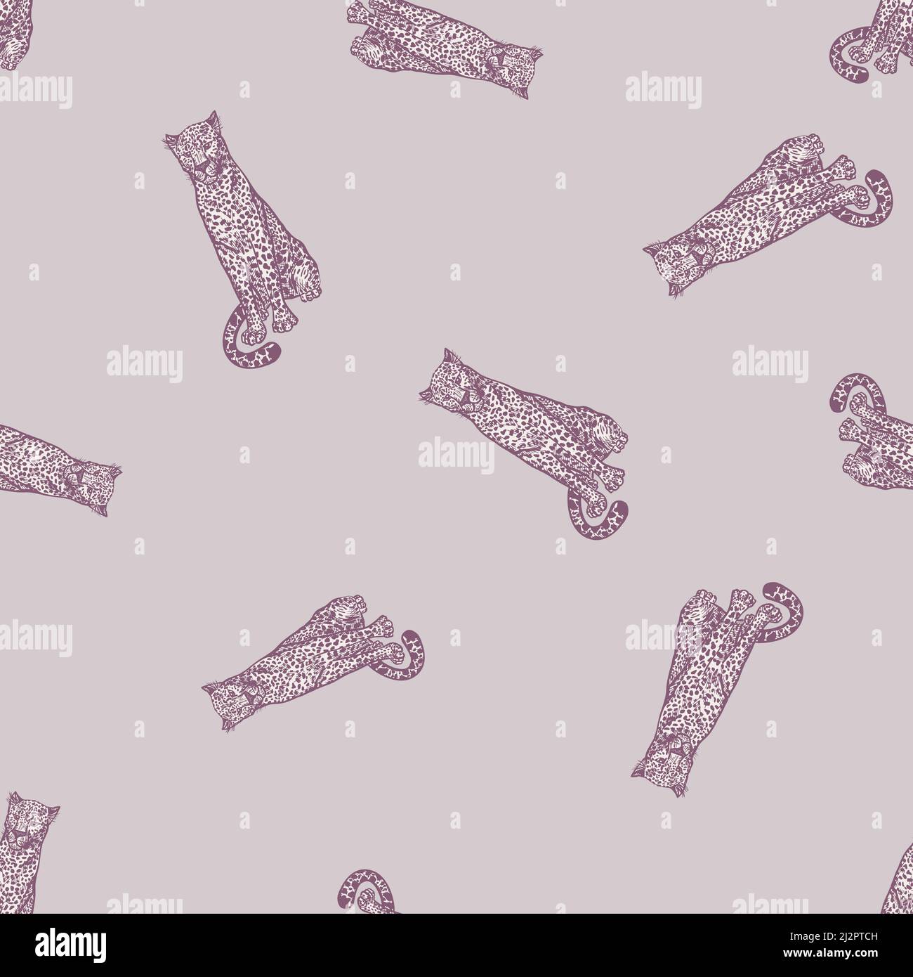 Vector pantera hi-res stock photography and images - Alamy