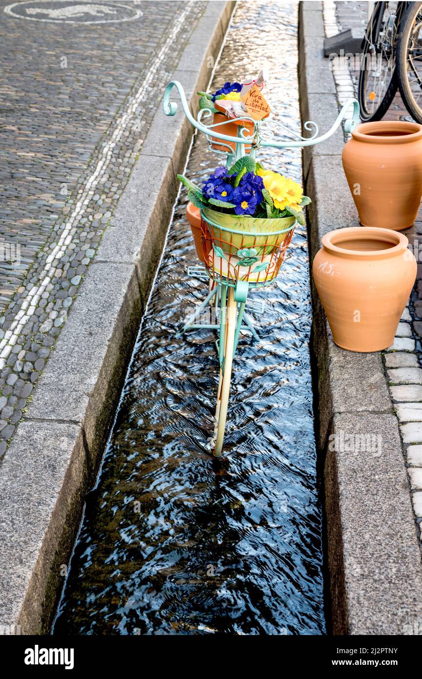 Freiburg im Breisgau (Baden-Württemberg, Germany): „Bächle“ in der ...