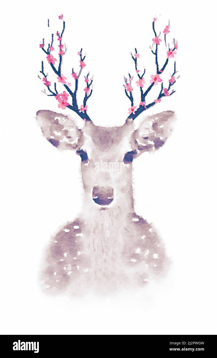 The pictures of the deer were drawn by me with watercolors and taken in ...