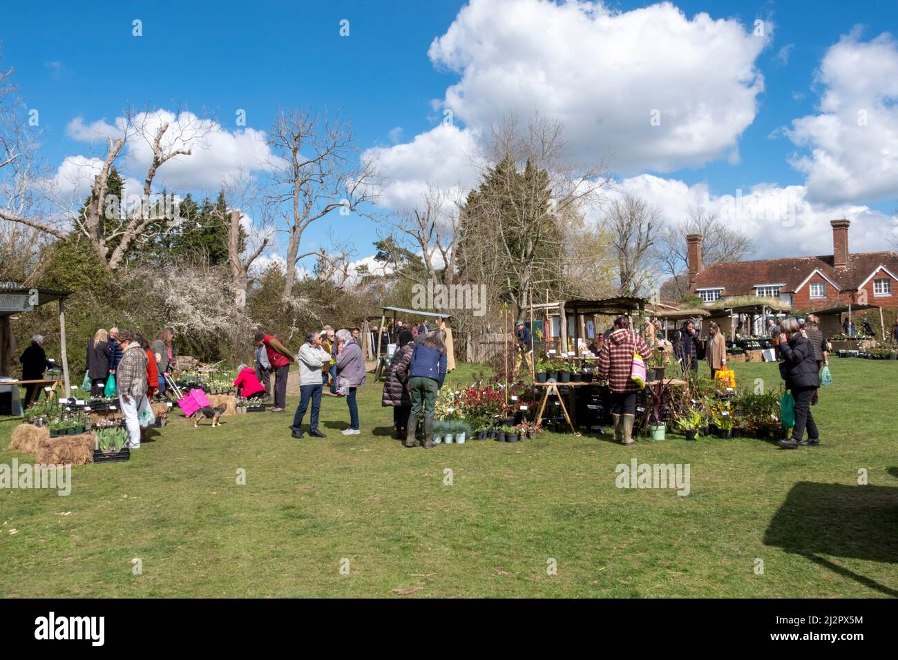 Spring plant fair hi-res stock photography and images - Alamy