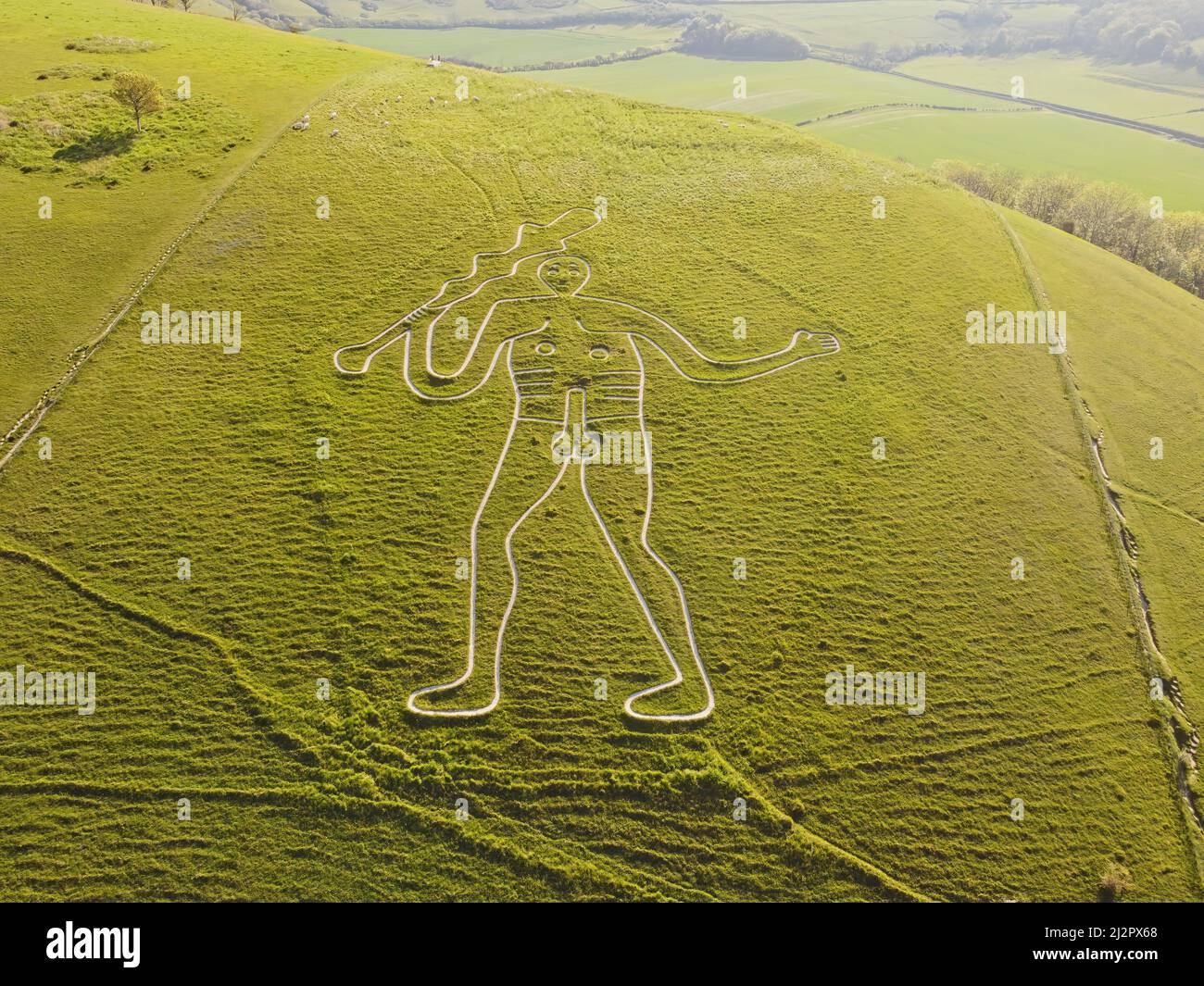 Aerial drone. Cerne Abbas Giant, Dorset. Hill figure carved out of ...