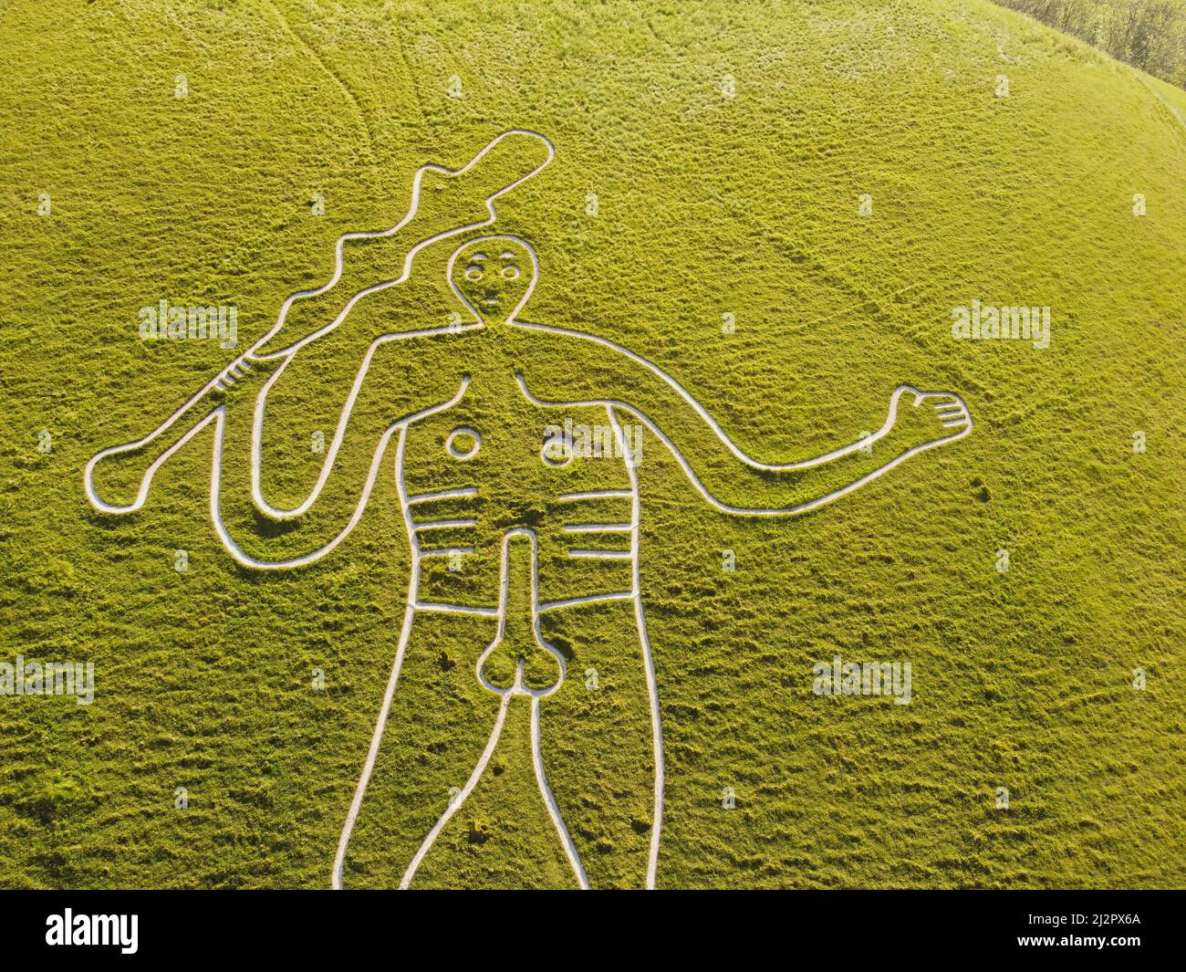 Aerial drone. Cerne Abbas Giant, Dorset. Hill figure carved out of ...