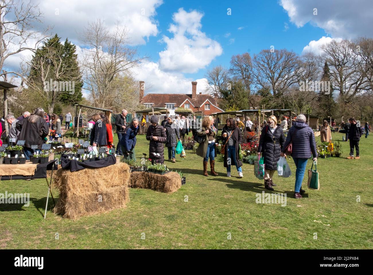 Plants fair hi-res stock photography and images - Alamy