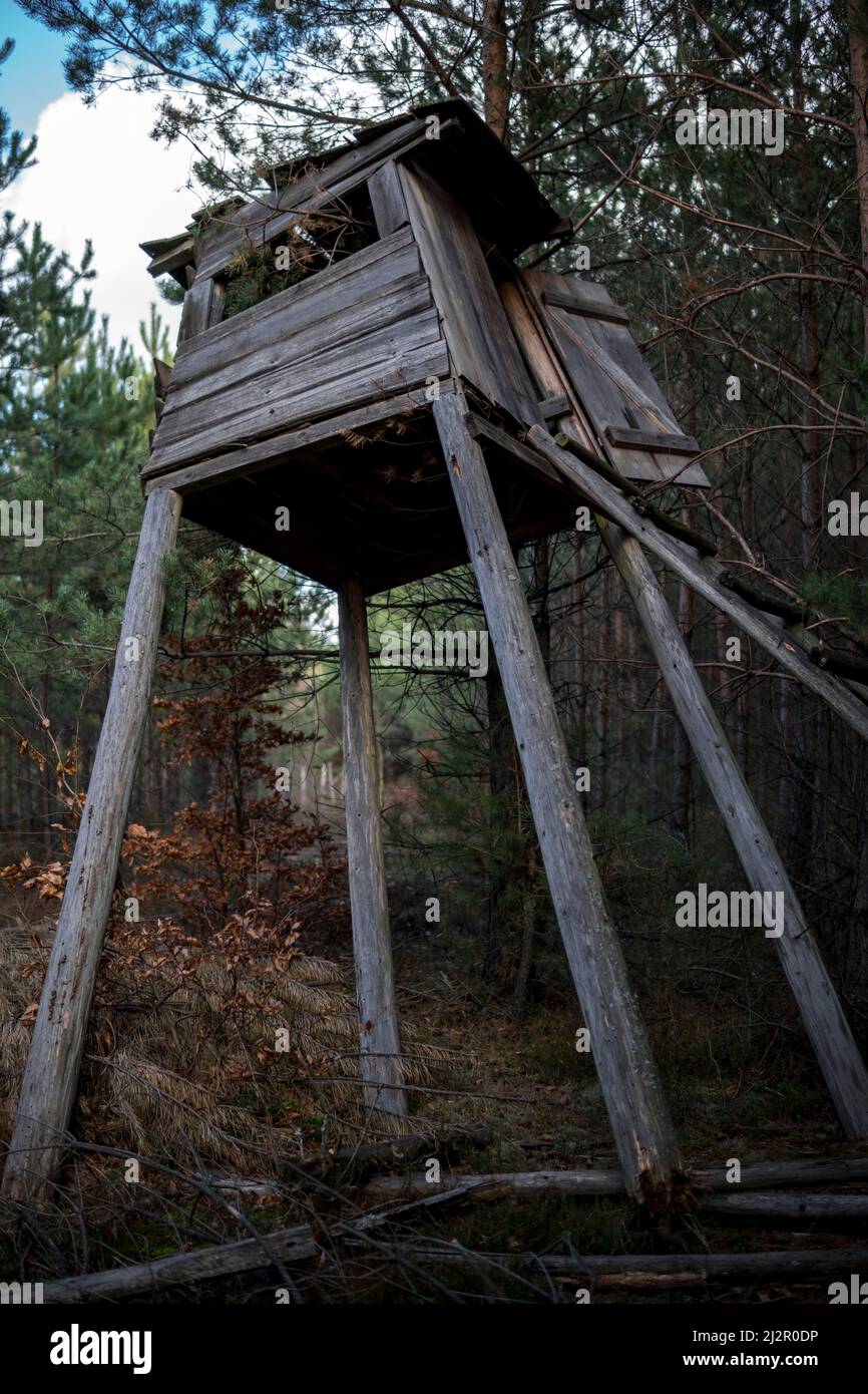 old abandoned shooting pulpit inside of a forest Stock Photo - Alamy