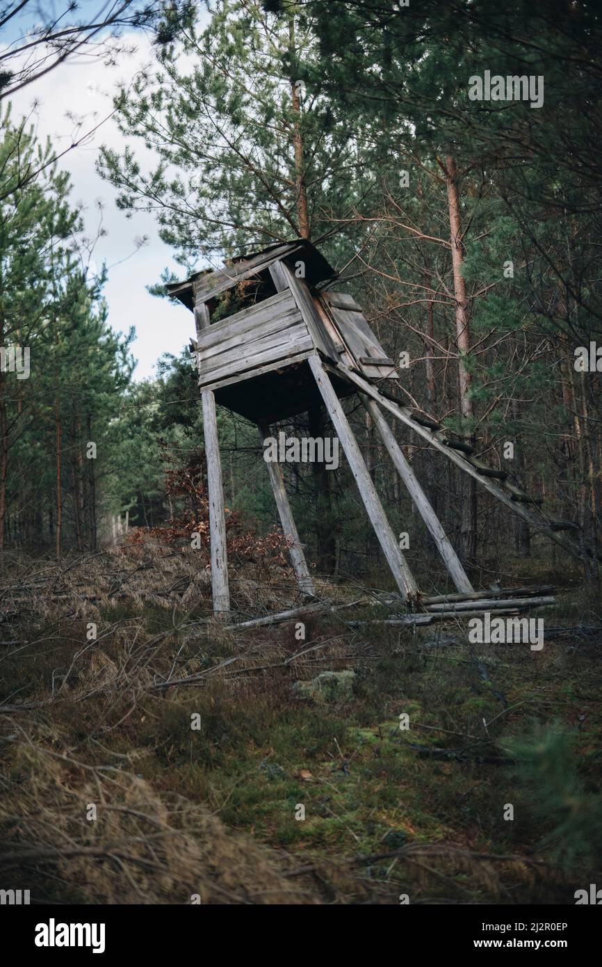 old abandoned shooting pulpit inside of a forest Stock Photo - Alamy