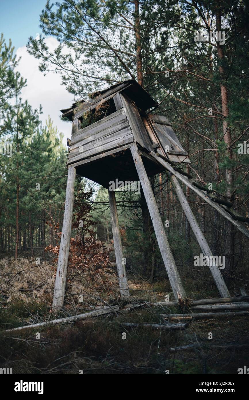 old abandoned shooting pulpit inside of a forest Stock Photo - Alamy