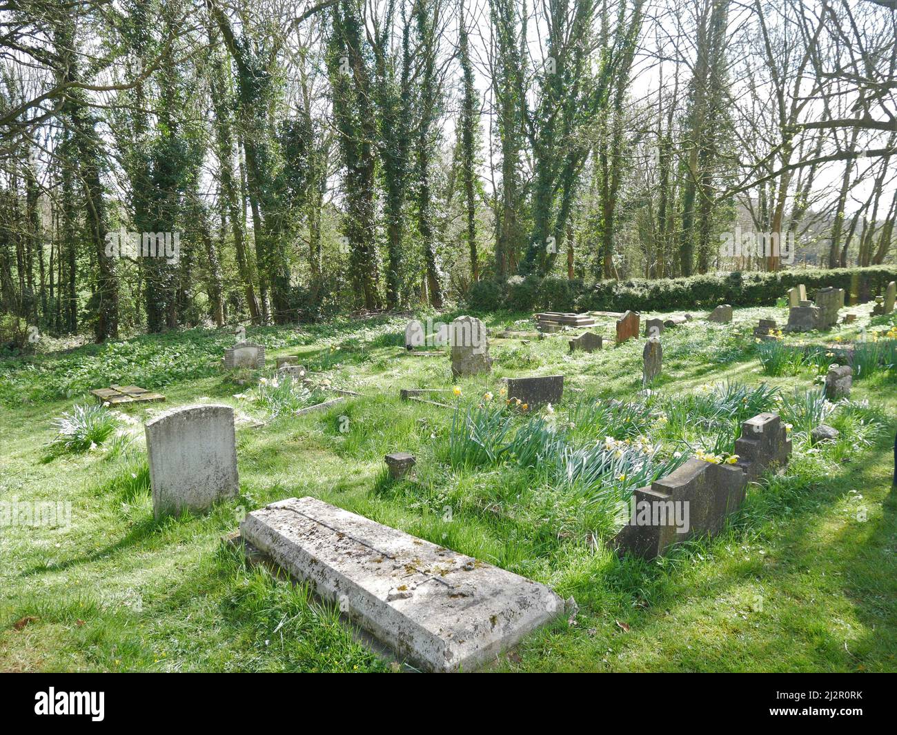 Chaldon church hi-res stock photography and images - Alamy